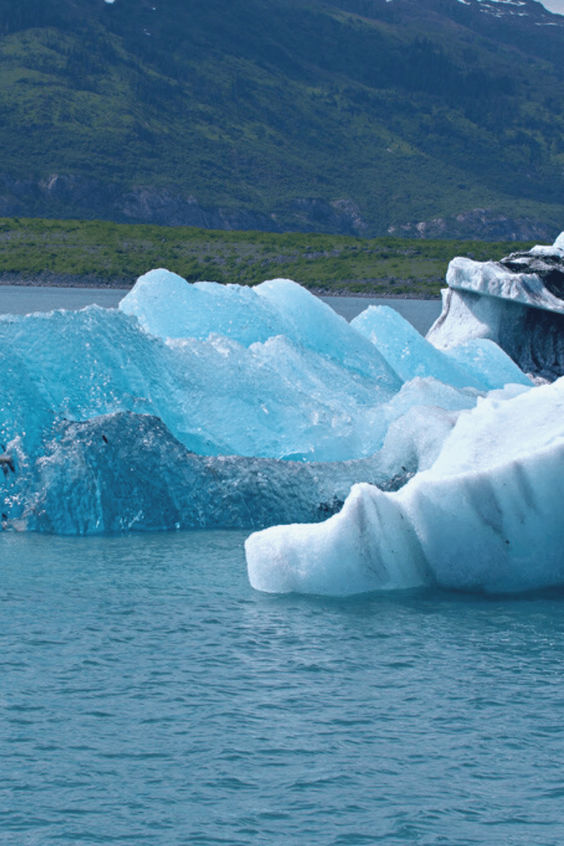 Your Complete Vegan Guide to Visiting Alaska