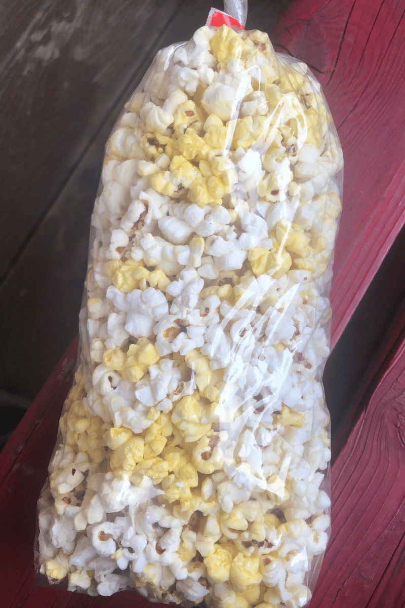 Your Complete Vegan Guide to Visiting Alaska