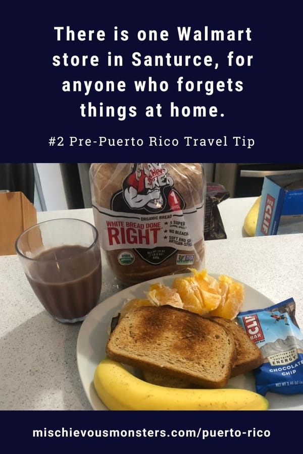 Vegan Puerto Rico Travel Guide: Where to Eat and Explore